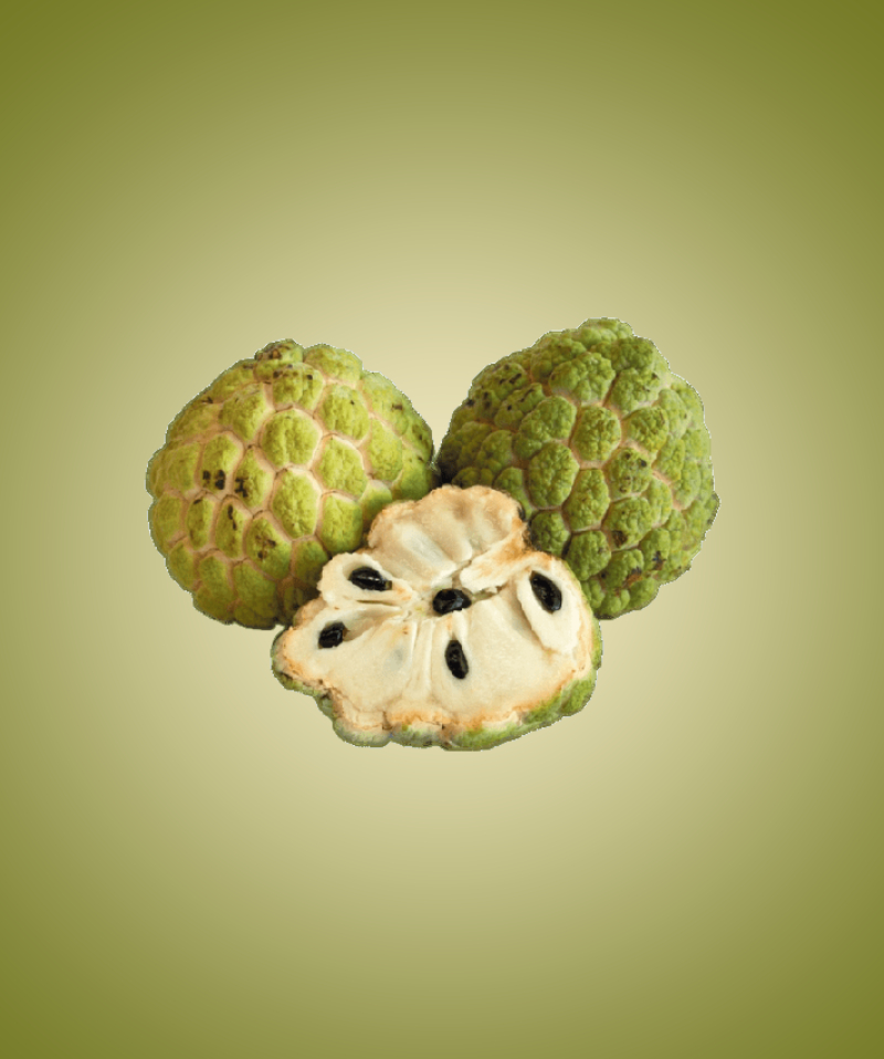 Pulps & Concentrates