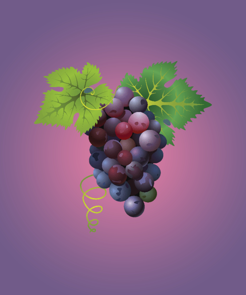 Pulps & Concentrates